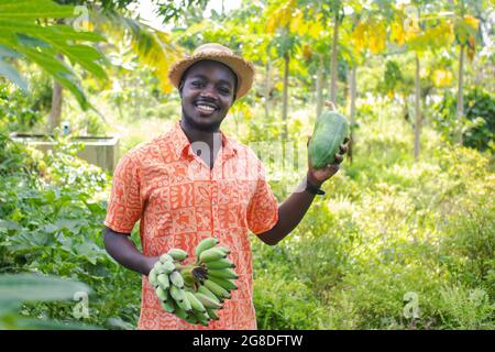 African farmer holding papaya at organic farm with smile and happy ...