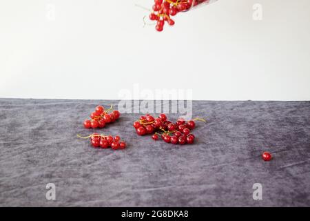 Red currants falling on a gray cloth background Stock Photo - Alamy