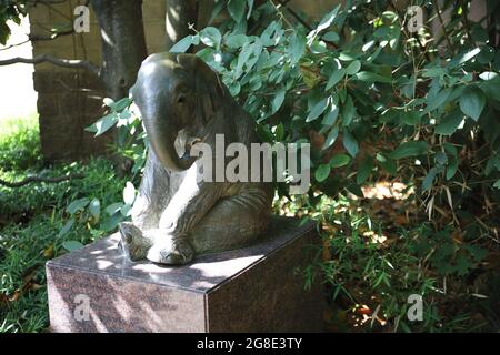 TULSA, UNITED STATES - Jun 25, 2021: Komodo Dragon at the Tulsa Zoo ...