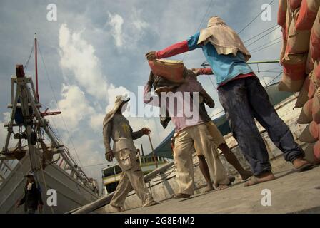 Workers are transporting cement sacks from a truck onto a phinisi ship ...