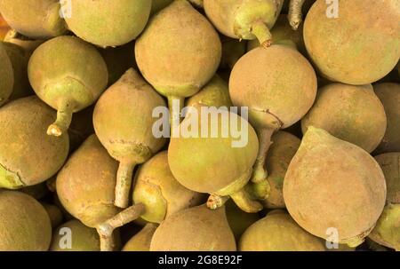 Sapote fruit in the traditional Colombian market - Quararibea cordata ...