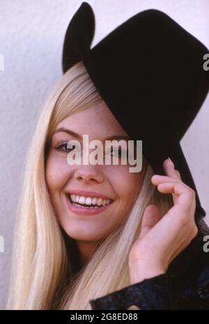 Misty Rowe Circa 1980's Credit: Ralph Dominguez/MediaPunch Stock Photo ...