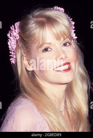Misty Rowe Circa 1980's Credit: Ralph Dominguez/MediaPunch Stock Photo ...