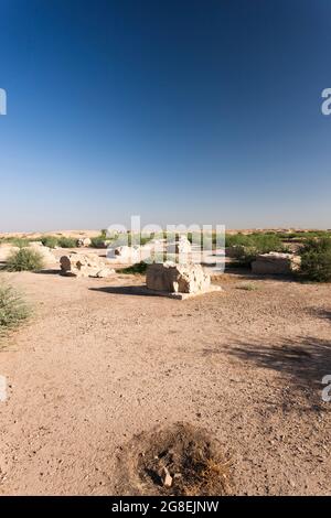 Apadana ruins, archaeological site of Susa(Shush), Achaemenid empire of ...