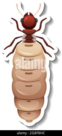 A sticker template with top view of primary king termite isolated ...