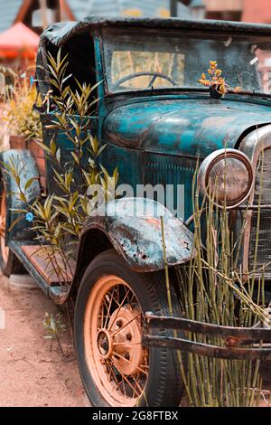 Green Plants Growing Around Rusty Car Wheel Stock Photo - Alamy