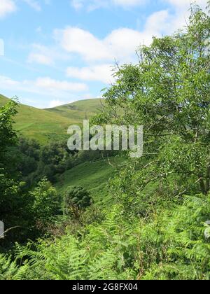 View from the footpath to Glendevon at Dollar Glen in the Ochil Hills ...