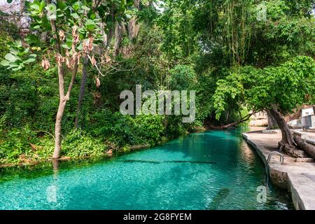 Turquoise Wikki warm springs, Yankari National Park, eastern Nigeria ...