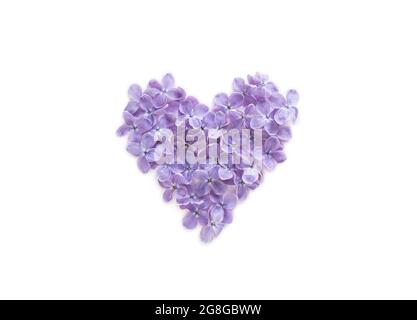 Violet flowers and heart made of white satin ribbon on pink background ...