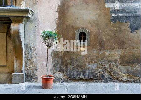 Old traditional windows in Florence, Italy Stock Photo - Alamy