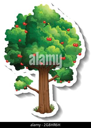 Garden fruits. Edible food plants. Seamless pattern. Hand drawing ...