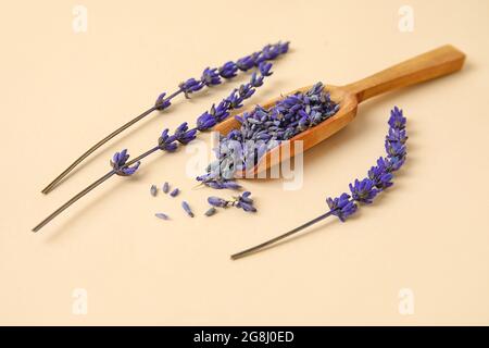 Beautiful lavender flowers and scoop on color background Stock Photo ...