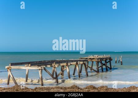 The abandoned jetty on the beach head of the Old Eucla Telegraphy ...