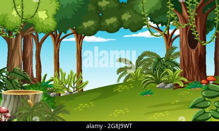 Forest at daytime scene with various forest plant and tree illustration ...