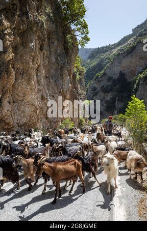 Lagadha pass and gorge in the Taygetos mountains, between Kalamata via ...