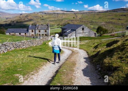 A farm track above Austwick, Yorkshire Dales, UK, looking towards ...