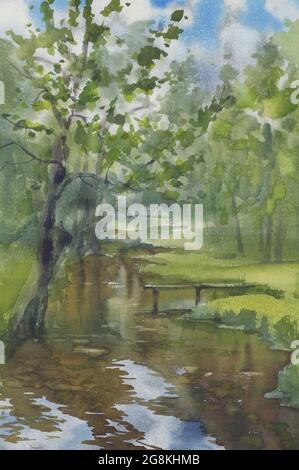 forest spring or brook at summer, green foliage, high trees and rocks ...