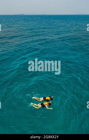Woman snorkelling under water. Female swimmer with diving mask and ...