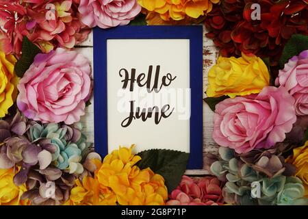 Hello June text message on paper card with beautiful flowers decoration ...