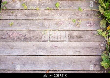 A wooden construction pallet is lying on the grass. Wood texture on the ...