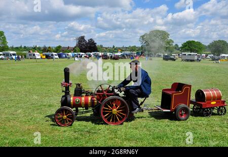 Miniature steam traction engine being displayed at a country show ...