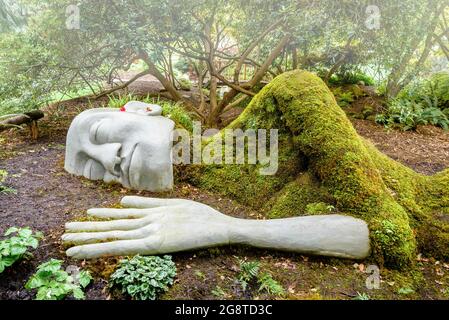 Moss Lady sleeping in Beacon Hill Park-Victoria, British Columbia ...