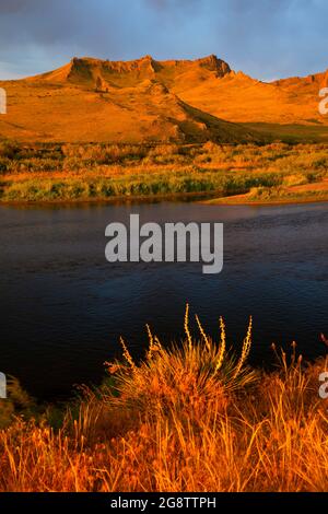 Missouri River with yucca, Pelican Point Fishing Access Site, Missouri ...