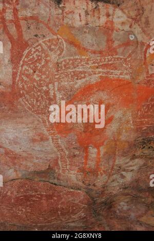 Ancient aboriginal rock art paintings in a Quinkan style located near ...