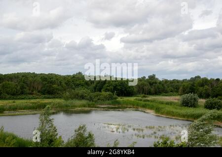 Small Lake Surrounded By Trees At Diemen The Netherlands 30-6-2020 ...