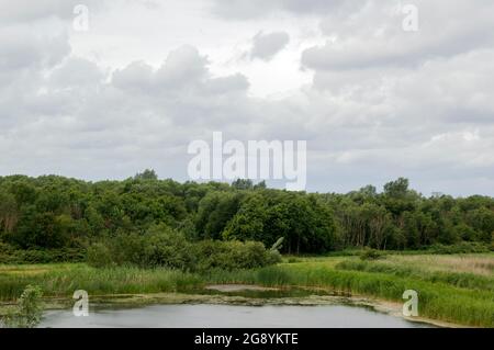 Small Lake Surrounded By Trees At Diemen The Netherlands 30-6-2020 ...