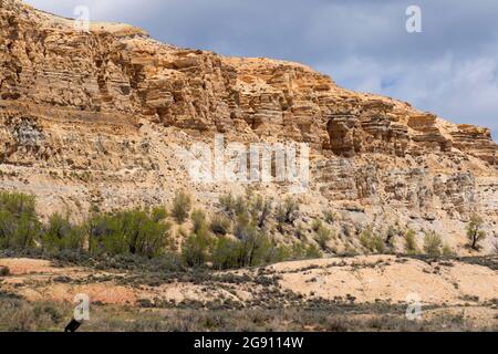 Kemmerer, Wyoming - Fossil Butte National Monument. A diorama at the ...