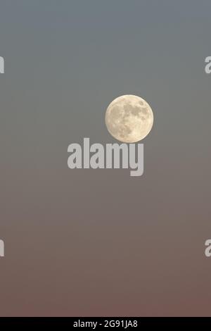 The moon fading in a blue sky Stock Photo - Alamy