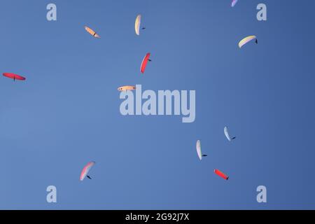 Paraglider pilots competing in the 2021 Paragliding Open in Chelan ...