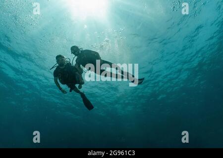 divers on honeymoon exploring the tropical waters around Phuket Stock ...