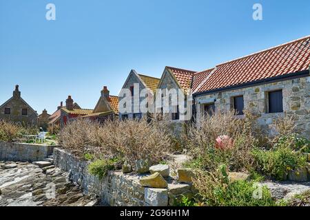 Image of Les Minquiers, Ile Maitre Island with a clear blue sky and ...