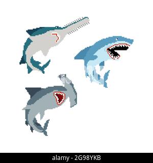 Hammerhead shark pixel art. 8 bit Fish hammer. marine predator vector ...