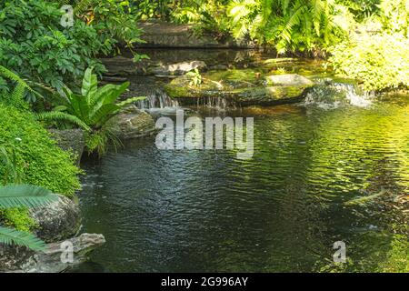 waterfall in tropical garden during spring season. beautiful ...