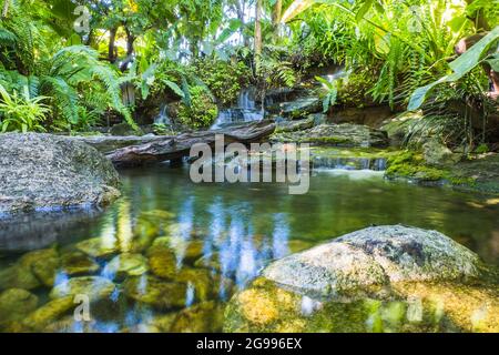 waterfall in tropical garden during spring season. beautiful ...