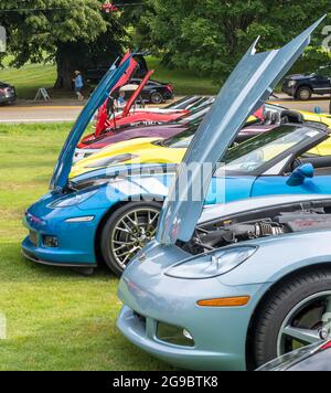 A line of Corvettes is on display at a car show in Homestead ...