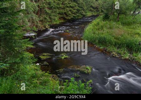 Color summer Studena Vltava river near Stozec village in national park ...