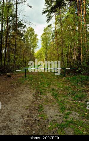 No entry to the forest path. Barrier and green forest. Yellow photo ...