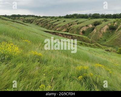 A deep clay ravine formed by erosion by a water stream. Soil erosion ...