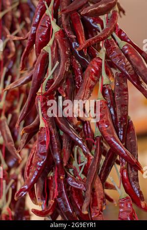 Strings of dried peppers, Spice Market, Istanbul, Turkey Stock Photo ...