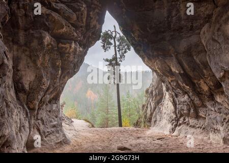 The rock gate Kleinsteinhoehle in the Saxon Switzerland National Park ...