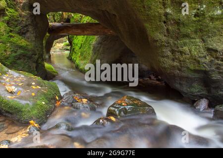 The river Kirnitzsch wends its way through the Khaa Valley in autumn ...