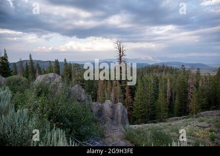 Mammoth City was an old mining town on the outskirts of Mammoth Lakes ...