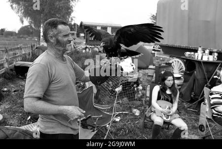 Romany traveller Percy Bennett with Harris Hawk used for catching ...