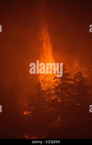 California wildfire in Santa Cruz Mountains CALFIRE CDF wildland ...