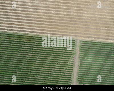 drone image. aerial view of rural area with fields and forests in ...