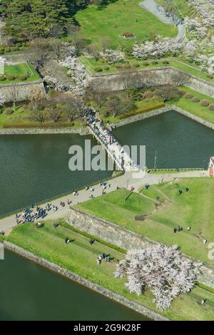 Star shaped Fort Goryokaku in the cherry blossom, Hakodate, Hokkaido ...